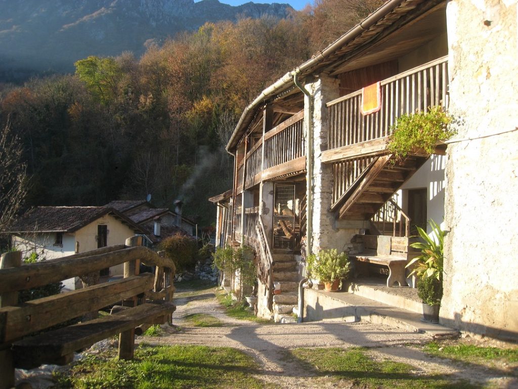 "Boschi a Natale" a Ponte nelle Alpi e Sospirolo