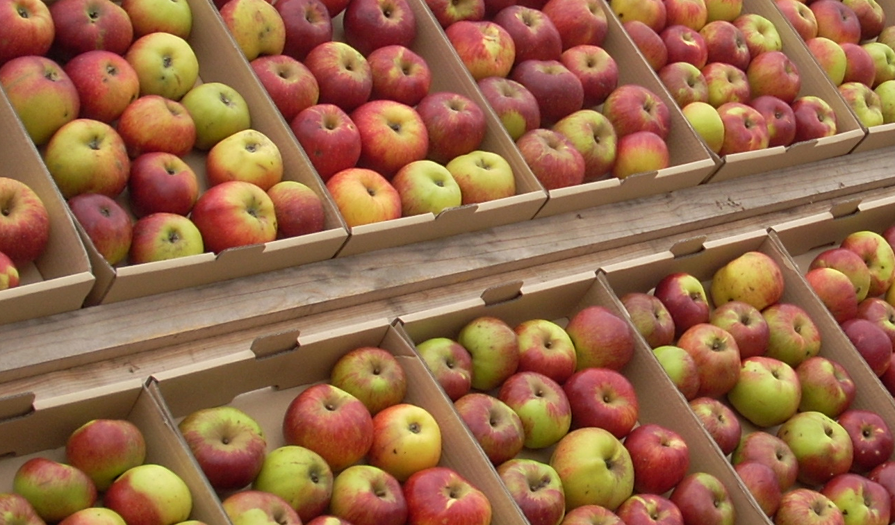 Tre giorni di Mele a Mel