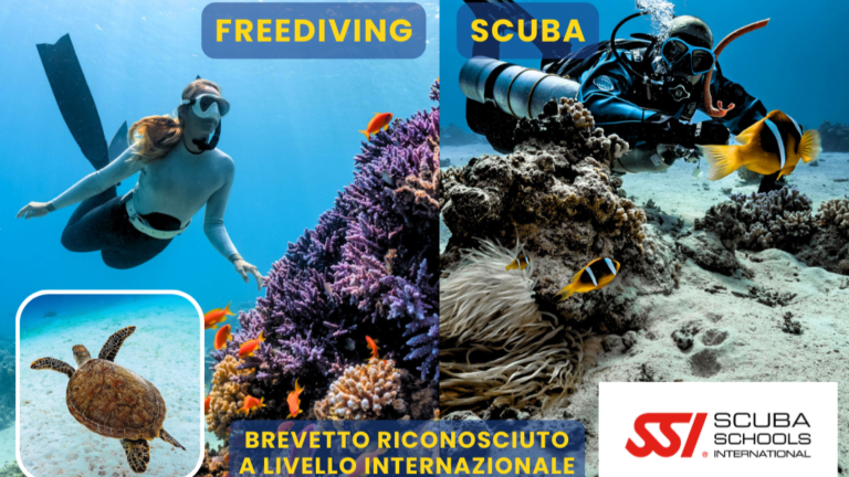 Anche a Belluno apnea e immersioni: i nuovi corsi del Club Subacqueo